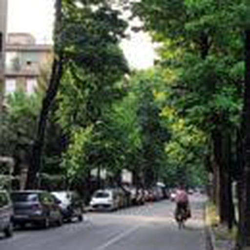 Ma gli alberi vengono abbattuti per fare spazio alla pista ciclabile?