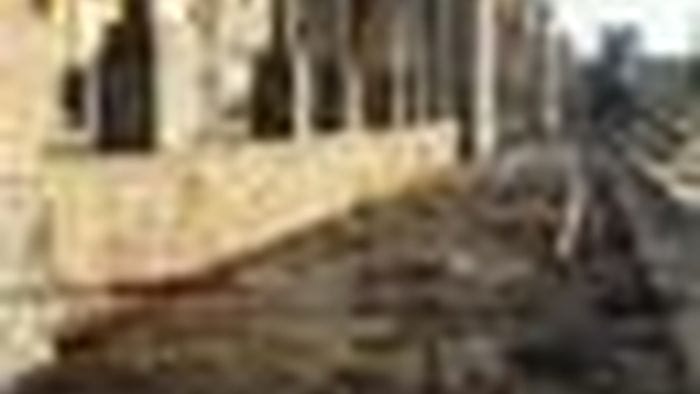 Dobbiamo portarci le scope da casa per tenere pulito il nostro cimitero