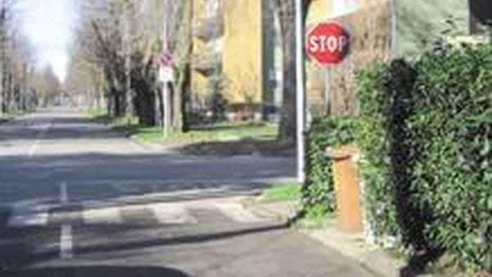 L’amministrazione intervenga, quella siepe è pericolosa