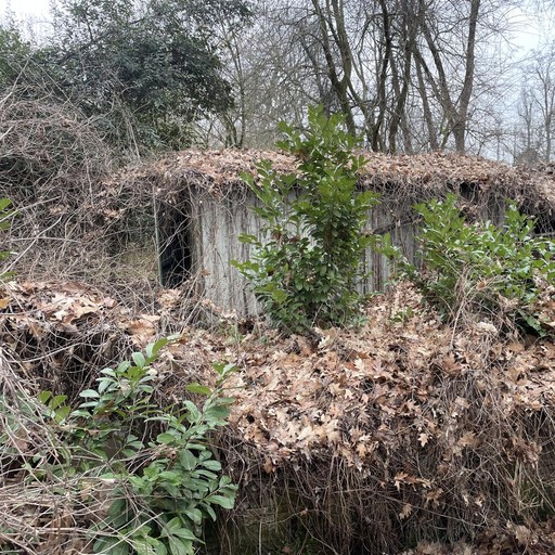 Codogno, tra santuario e cimitero cresce il boschetto dei vagabondi