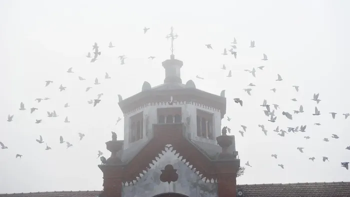 SANT’ANGELO «I piccioni infestano il nostro cimitero: il Comune deve ...