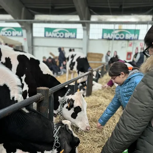 Fiera di Codogno: grande affluenza di visitatori agli stand - IL VIDEO ...