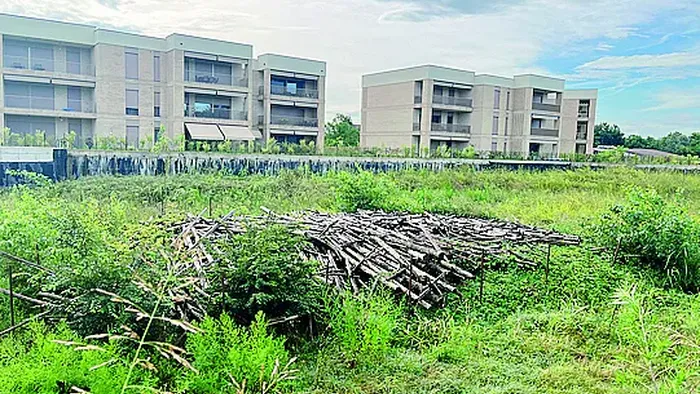 LODI Erbacce, legno marcio e una ciclabile malconcia: ecco cosa resta ...