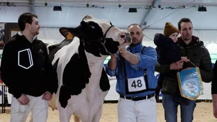 È lodigiana la mucca frisona più bella