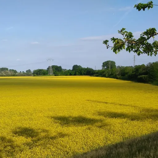 «La riserva delle Monticchie sarà accerchiata dai pannelli» - Rubriche ...