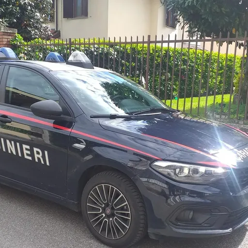 Lodi Vecchio: litiga con la moglie in un bar e poi se la prende con i carabinieri, arrestato