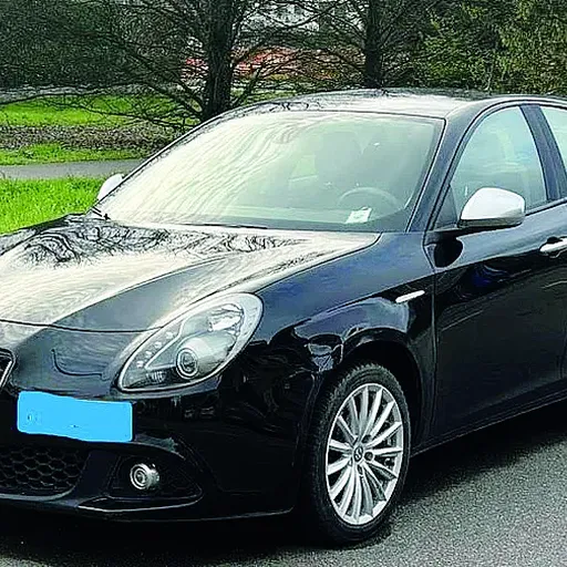 Tra Riozzo, Carpiano e Vizzolo il triangolo dei furti di automobili ...
