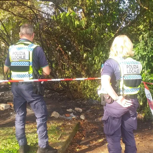 Le fiamme distruggono la colonia felina di Riozzo, gli animali riescono ...