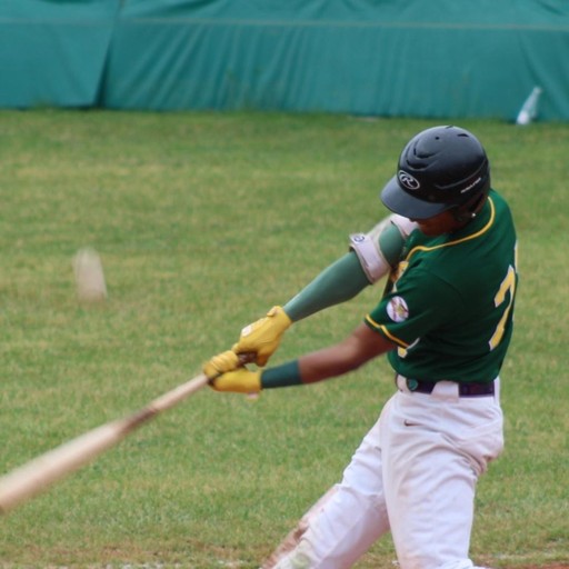 Baseball - Serie B - La gara dura solo per tre riprese, la partita ...