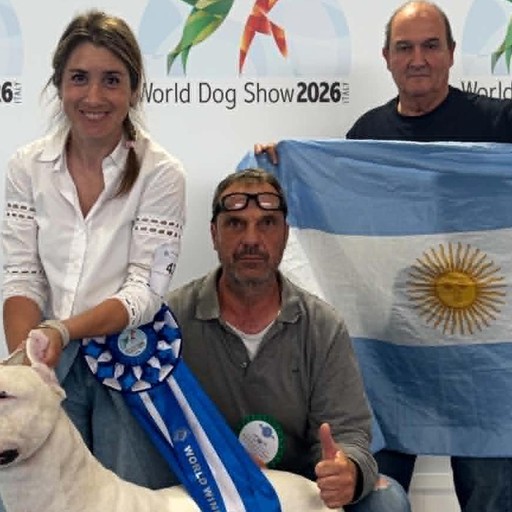 È a Borghetto il miglior Dogo del mondo - Cronaca