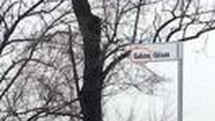 “Via Gabina” è la denominazione storica della strada