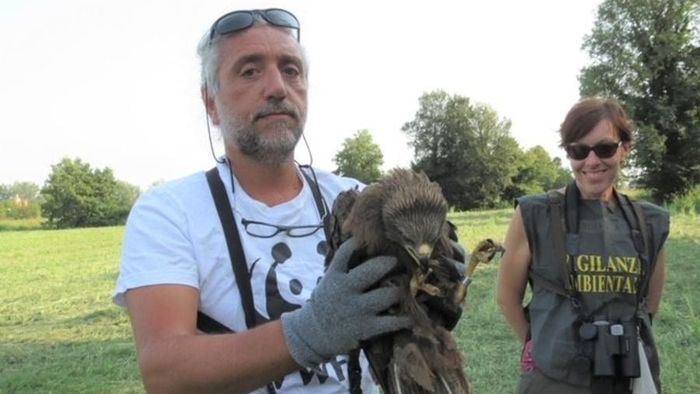 Liberati tre rapaci nell’oasi Avifauna creata da Teem - Cronaca