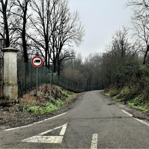 GRAFFIGNANA Buche e banchina collassata, la strada resta chiusa - Cronaca